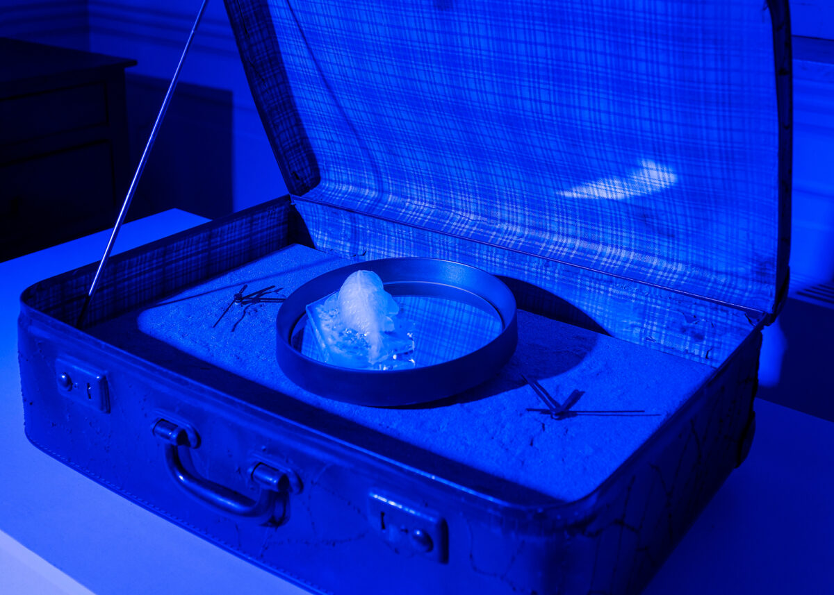 Monumental Elements – Museum of Contemporary Cuts