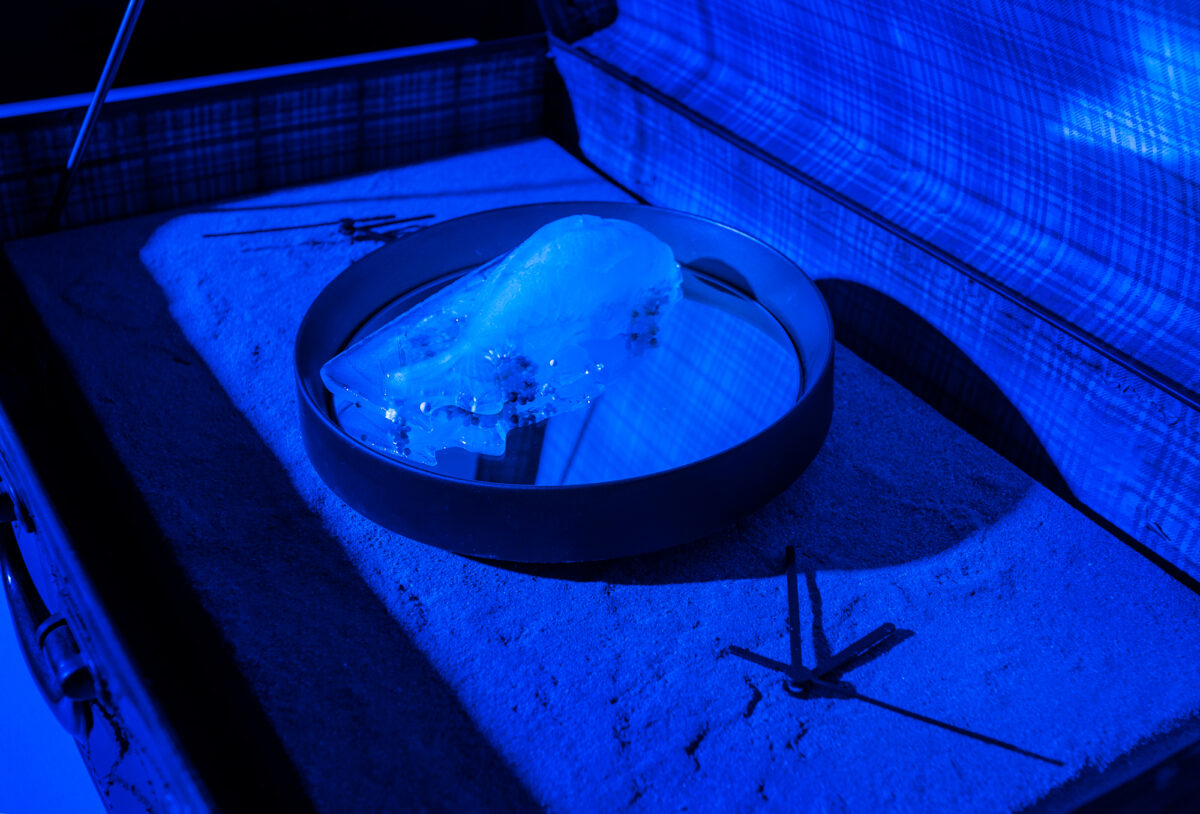 Monumental Elements – Museum of Contemporary Cuts