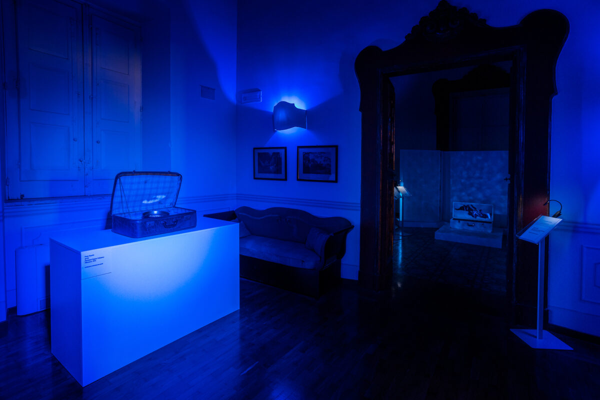 Monumental Elements – Museum of Contemporary Cuts